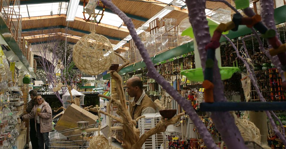 Mercado pet movimenta R$ 11 bilhões no Brasil - Fotos - UOL Economia