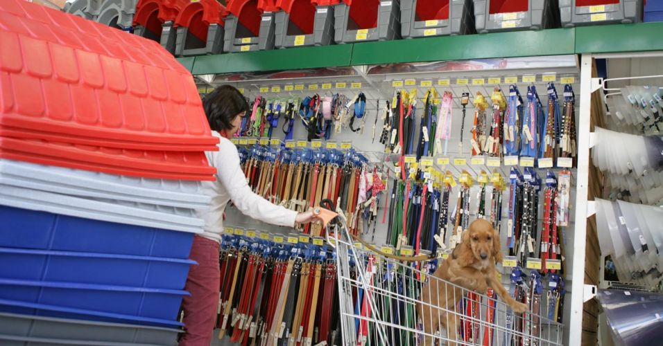 Mercado pet movimenta R$ 11 bilhões no Brasil - Fotos - UOL Economia