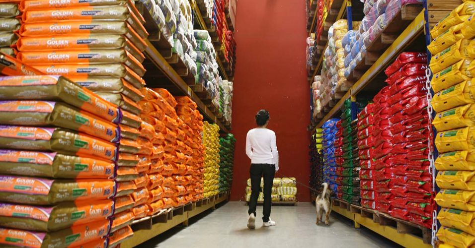 Mercado pet movimenta R$ 11 bilhões no Brasil - Fotos - UOL Economia
