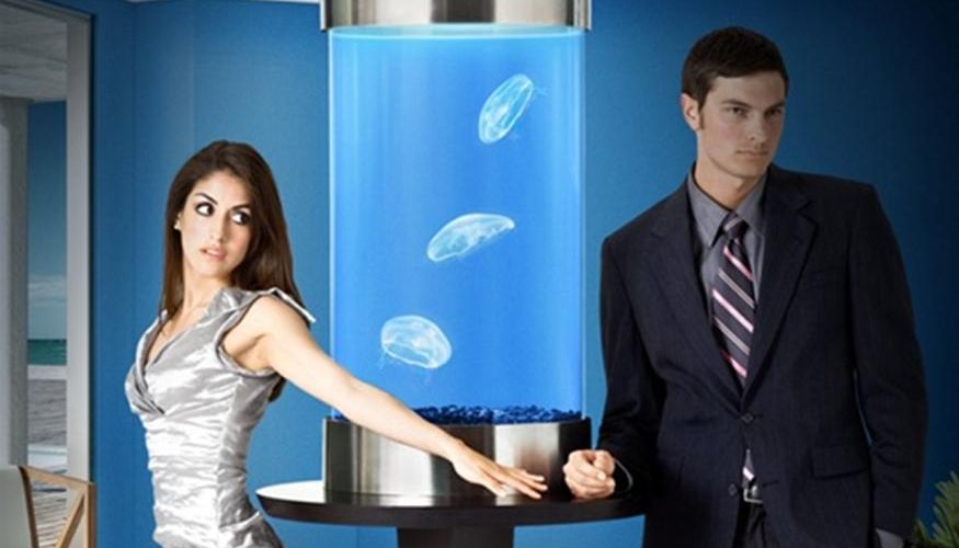 Americano vende água-viva de estimação - Fotos - UOL Economia